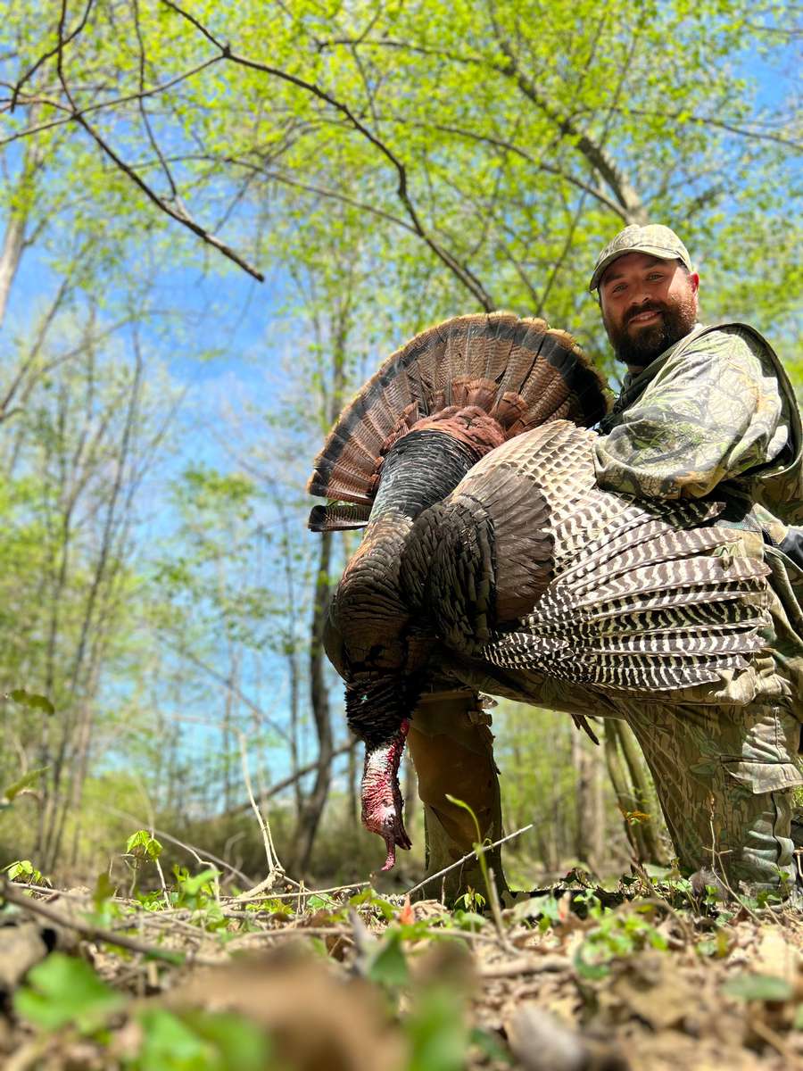 Eastern Turkey Hunts in Missouri | MO Guided Turkey Hunts