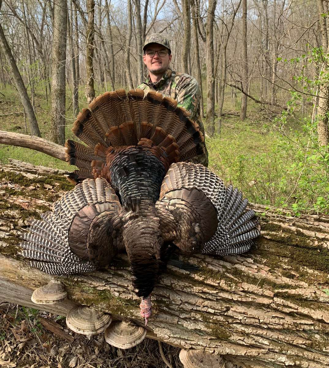 Eastern Turkey Hunts in Missouri | MO Guided Turkey Hunts