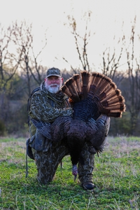 Eastern Turkey Hunts in Missouri | MO Guided Turkey Hunts